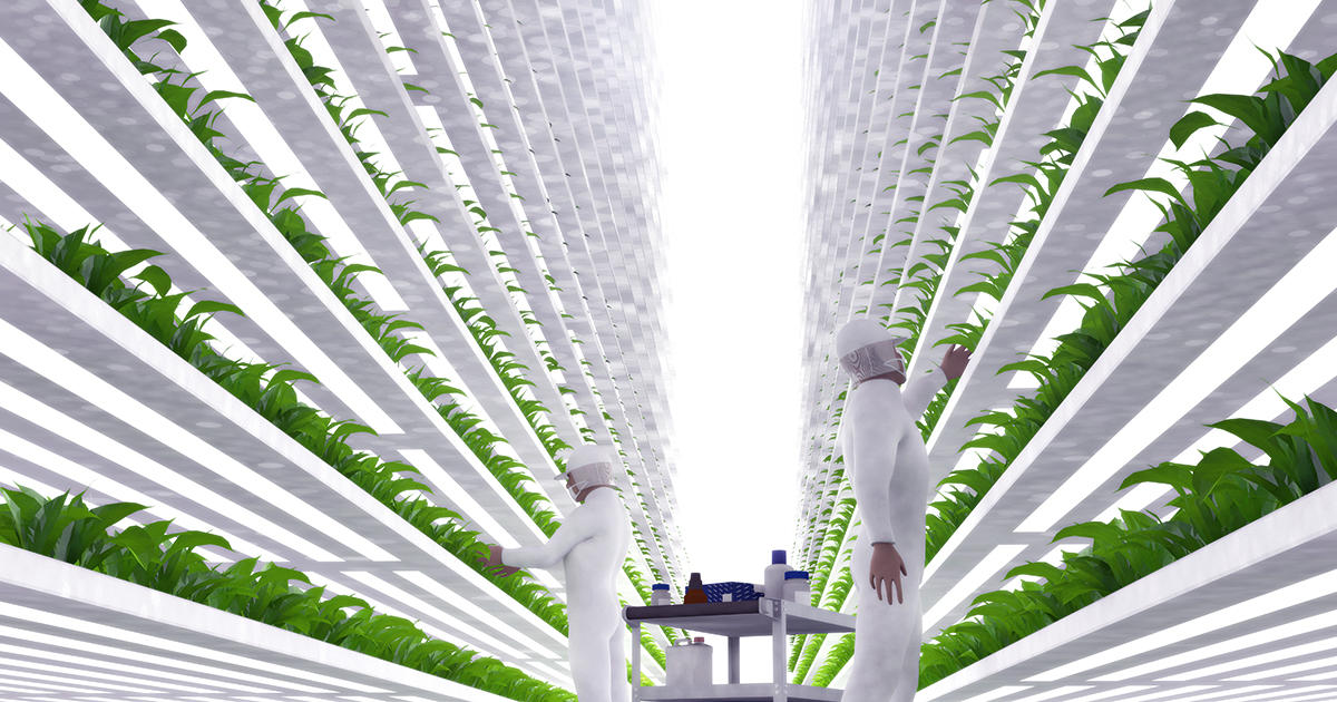 Tackling the Food Crisis with a Borderless Collaboration | We are ...